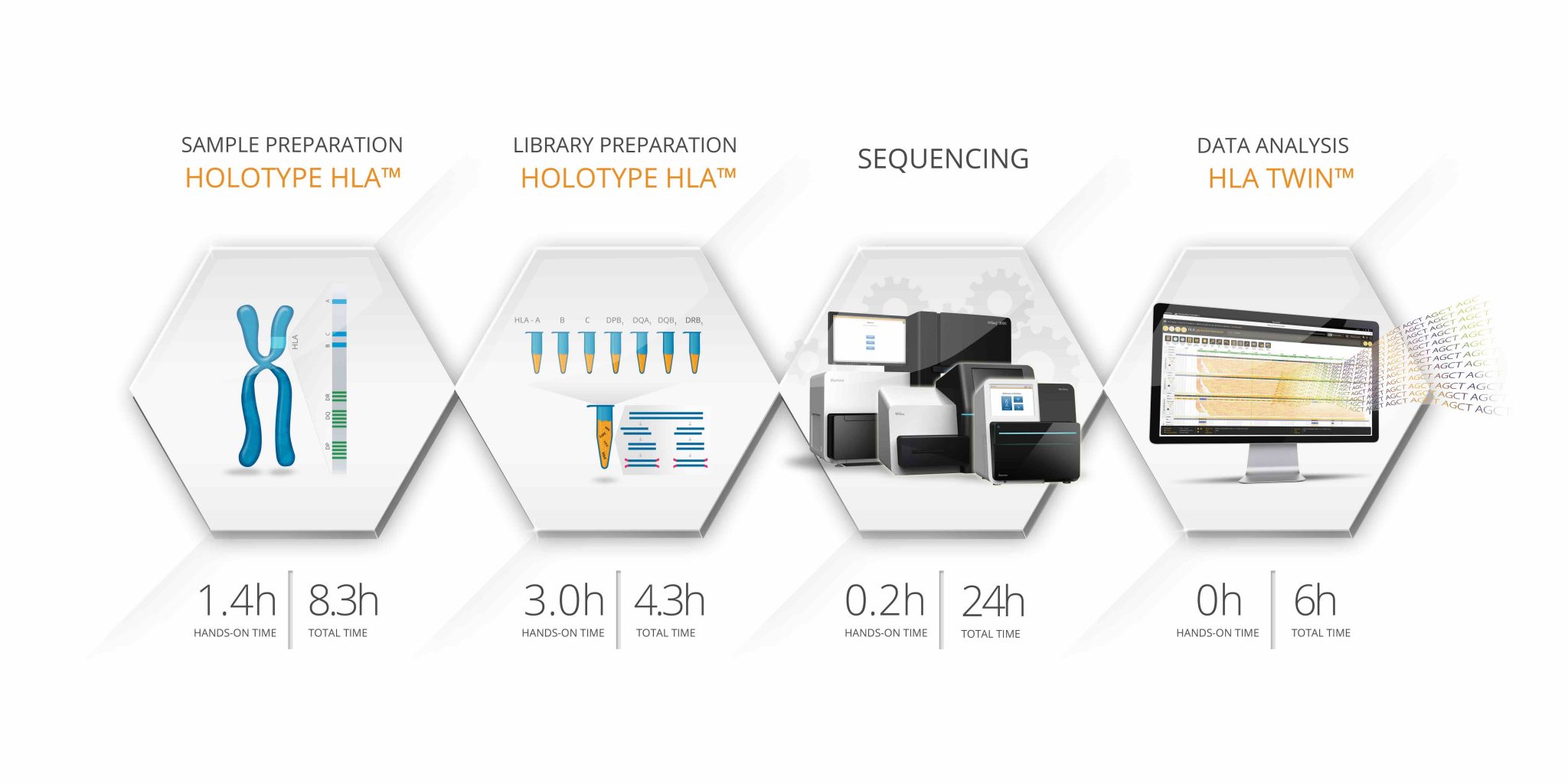 NGS Workflow | NGS for HLA Genotyping & Ion Torrent | Omixon NGS Workflow | NGS for HLA Genotyping & Ion Torrent | Omixon